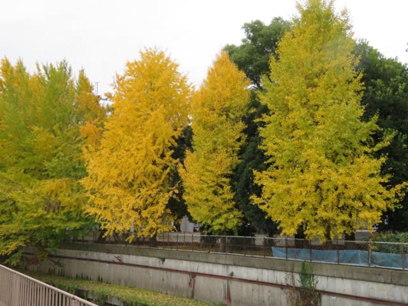 相手の良さを消す(12/8磐田対東京V) - Kobby loves 埼玉＆レッズ