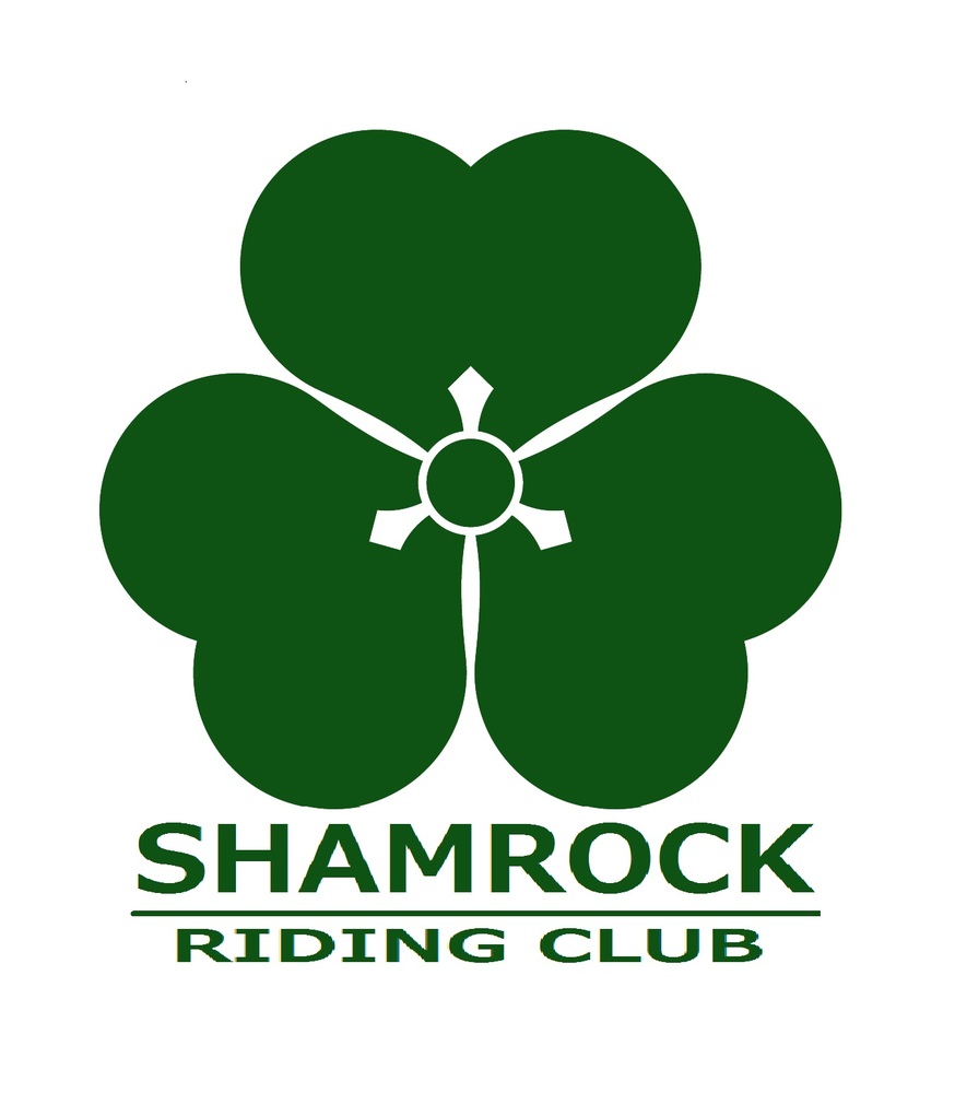 shamrockの日記