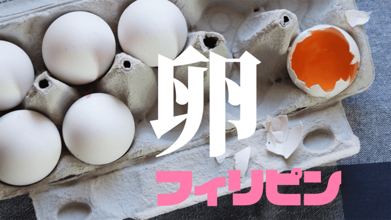 フィリピンの驚きの卵事情とは？珍味「バロット」や人気の卵料理もご紹介！ - ネイティブキャンプ英会話ブログ | 英会話の豆知識や情報満載