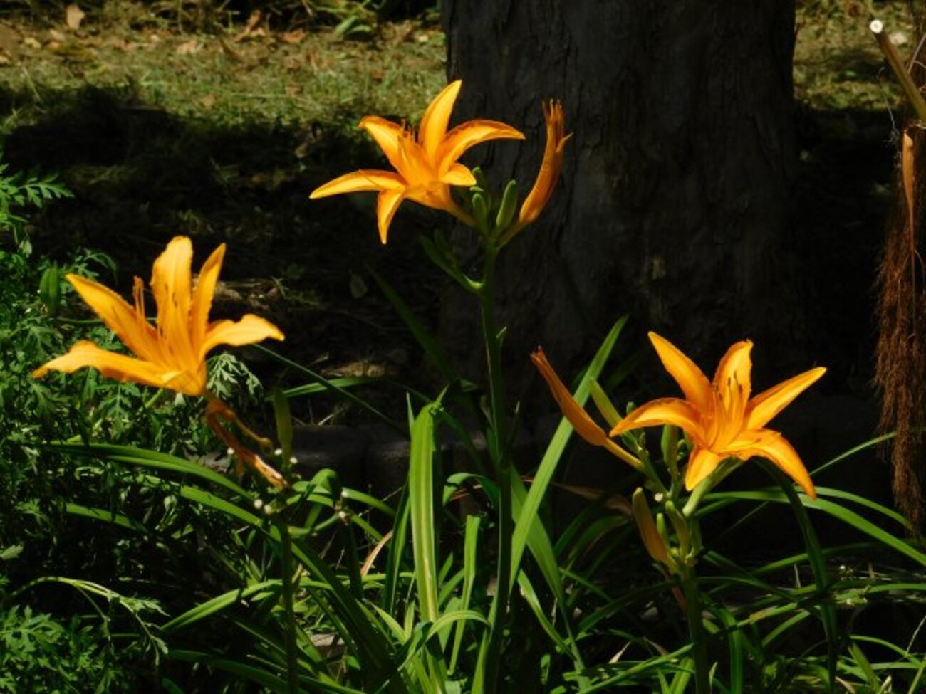 世界合意 - oichan-2’s blog