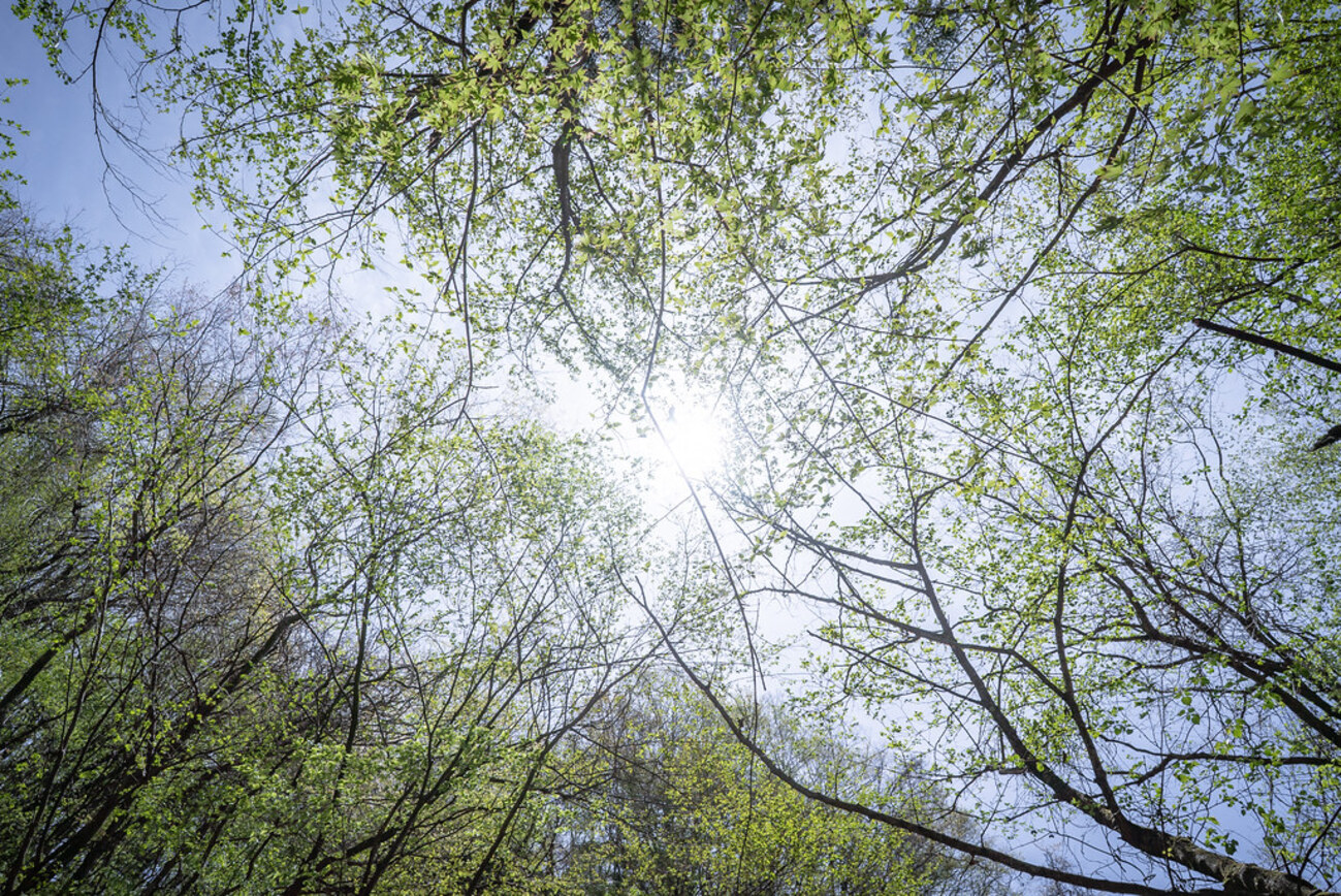 Nature Snap #45 - An Ordinary Moment