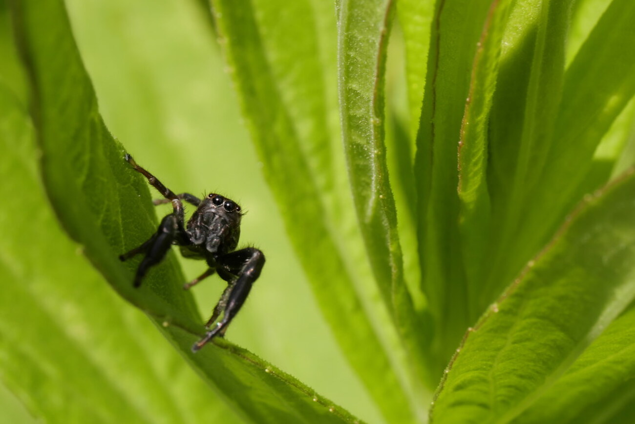 夏もピークが過ぎて - 24hours plus one