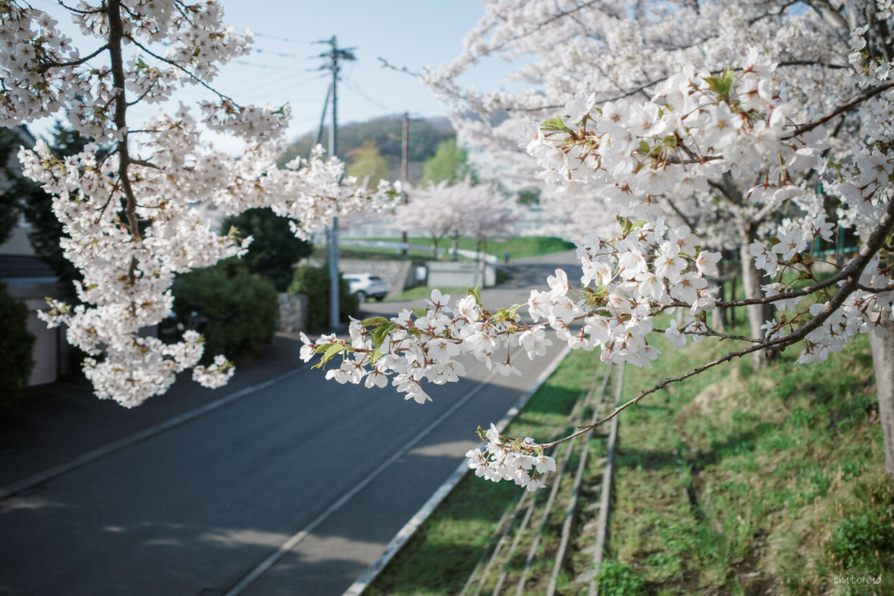 三度目の正直 - chito photo
