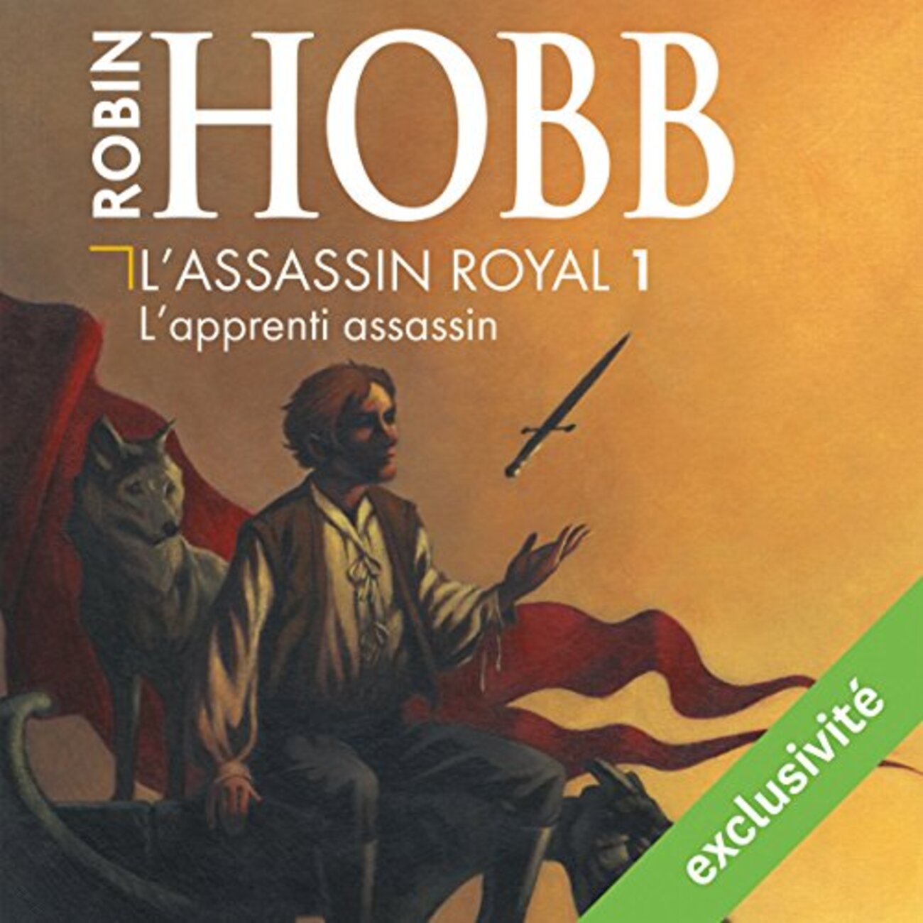 L'apprenti assassin (L'assassin royal 1) de Robin Hobb pdf Télécharger ...