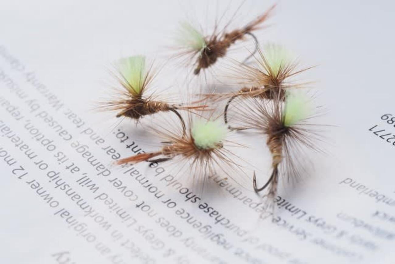 Floating Nymph (Drunella basalis) - Forest Sync.