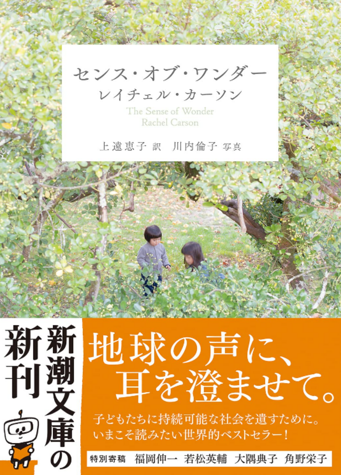 落合恵子さんが見つけた「センス・オブ・ワンダー」 - うりぼうのアンテナ