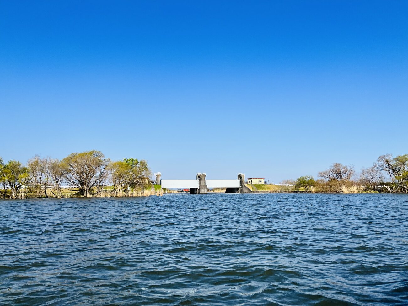 琵琶湖2022 - ampio's note