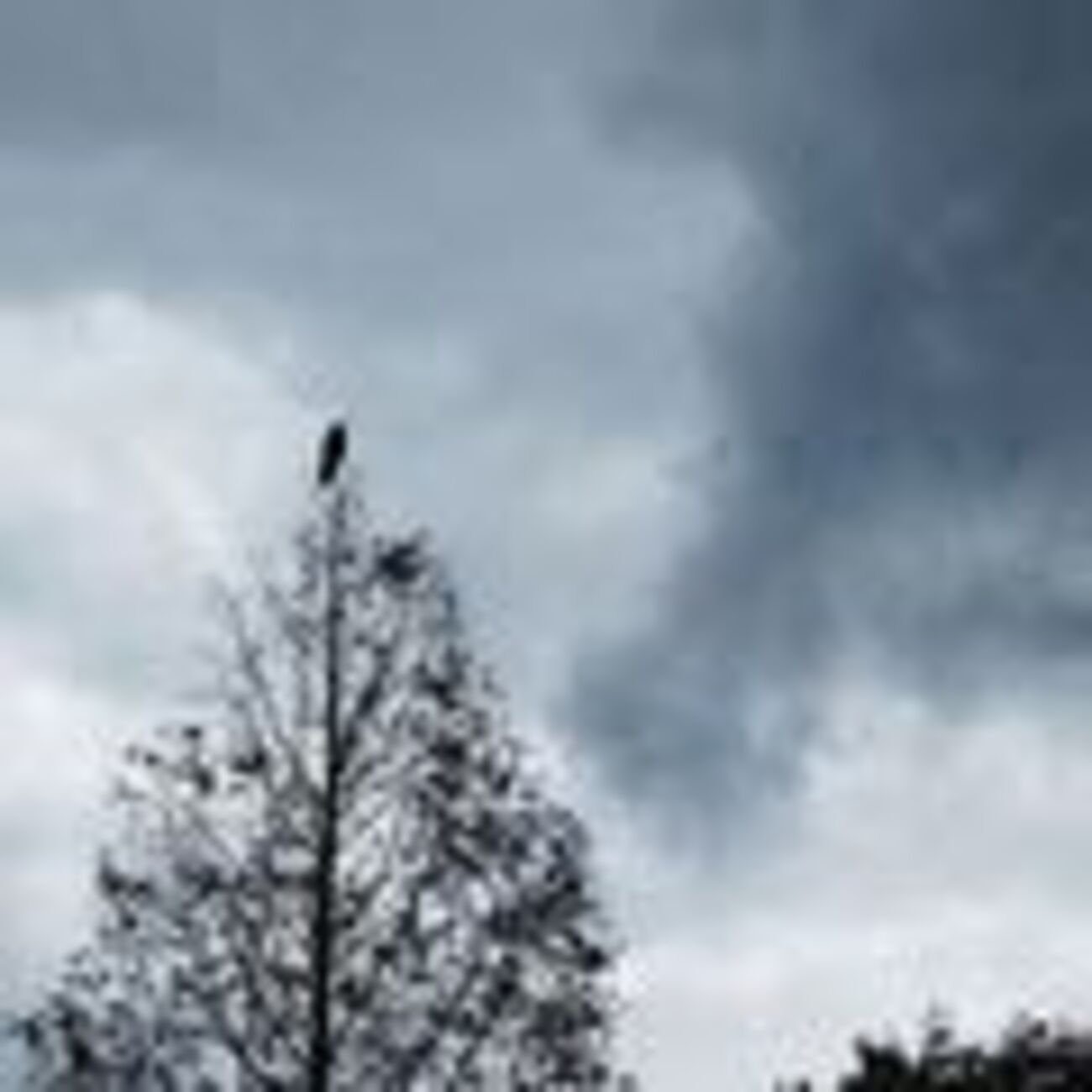 12月2日(日)は生うたSPライブの日です - BarALLメモリアルBLOG