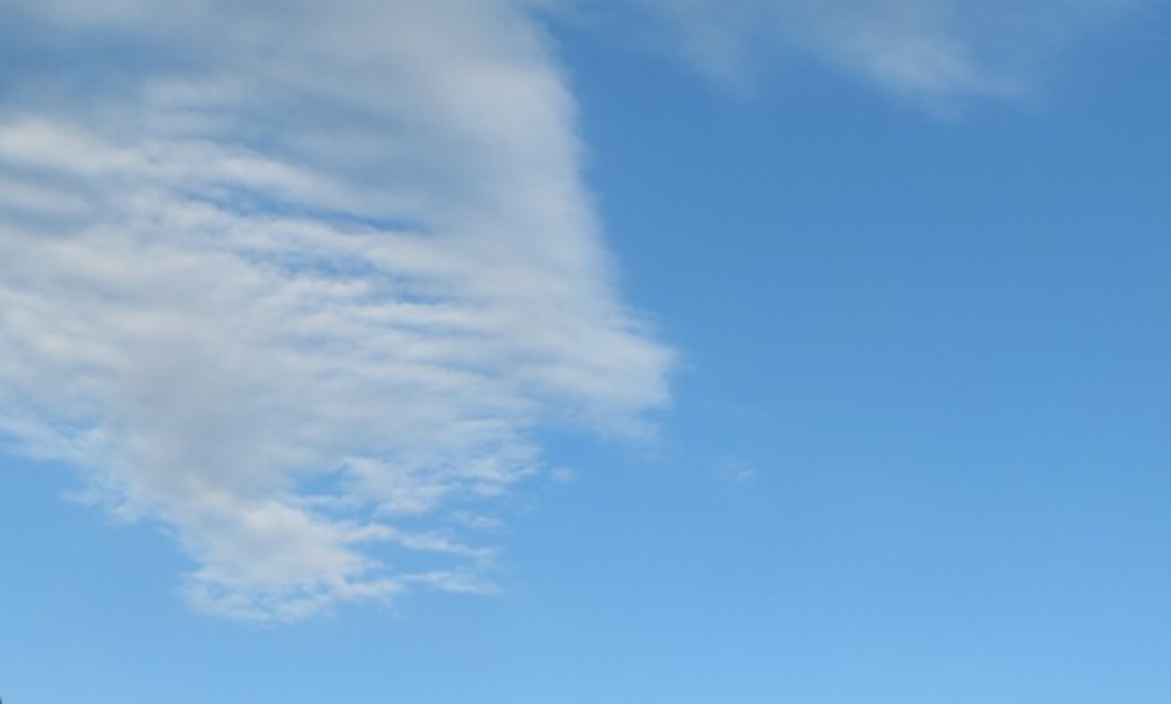 昨日は久しぶりの青空で - 放假 - fanjia