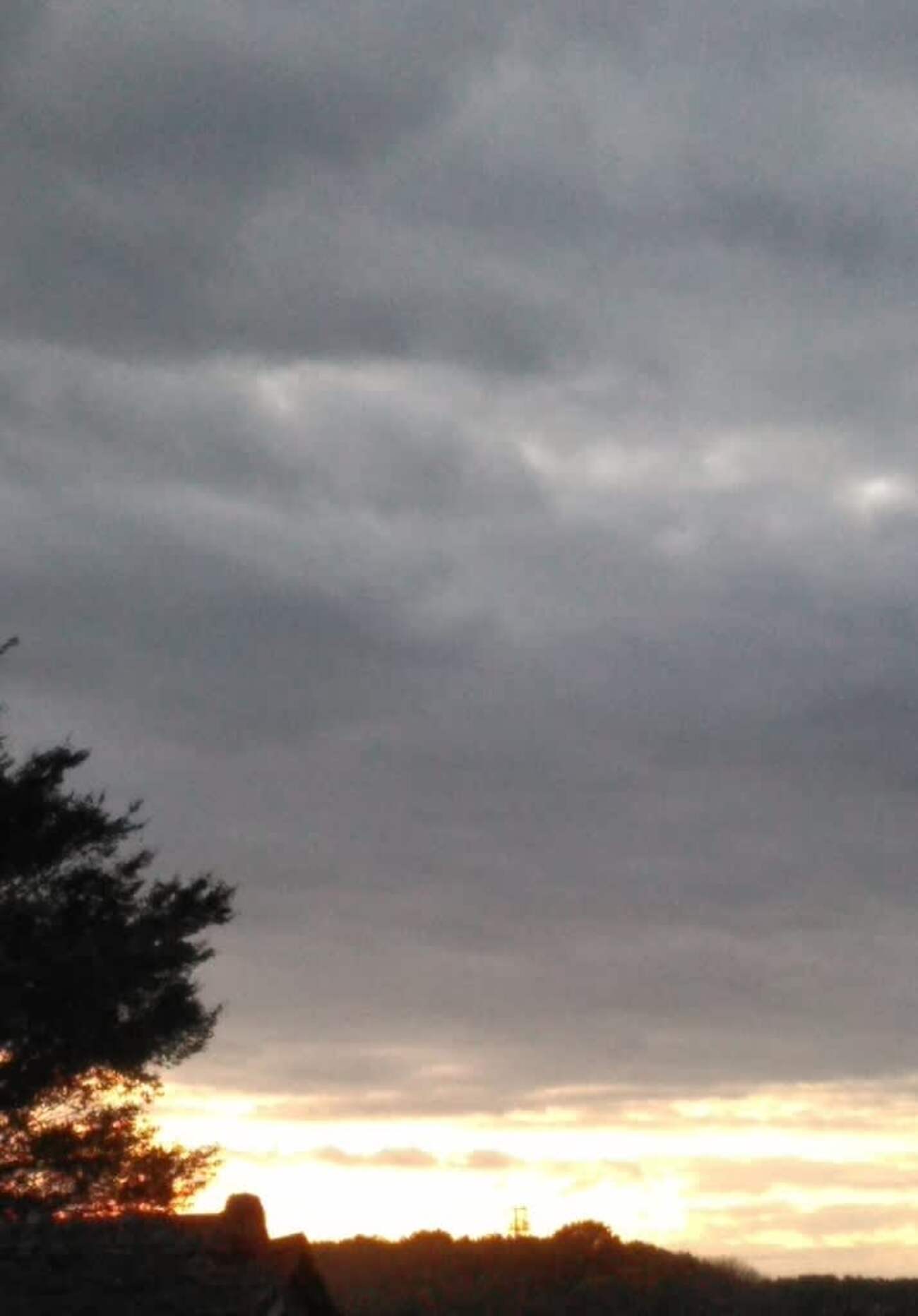 天気下り坂？樂 - kyoko-ky211のブログ