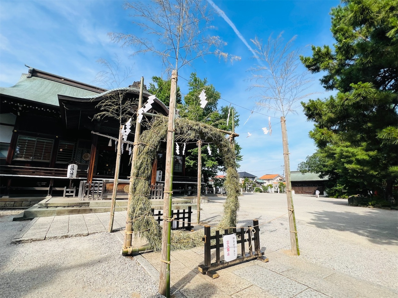 【ヒューマンデザイン】3番カラーの「聖職者 (Priests)」：「熱い/冷たい」と「欲望」の人たち - NO PLAN NOTE