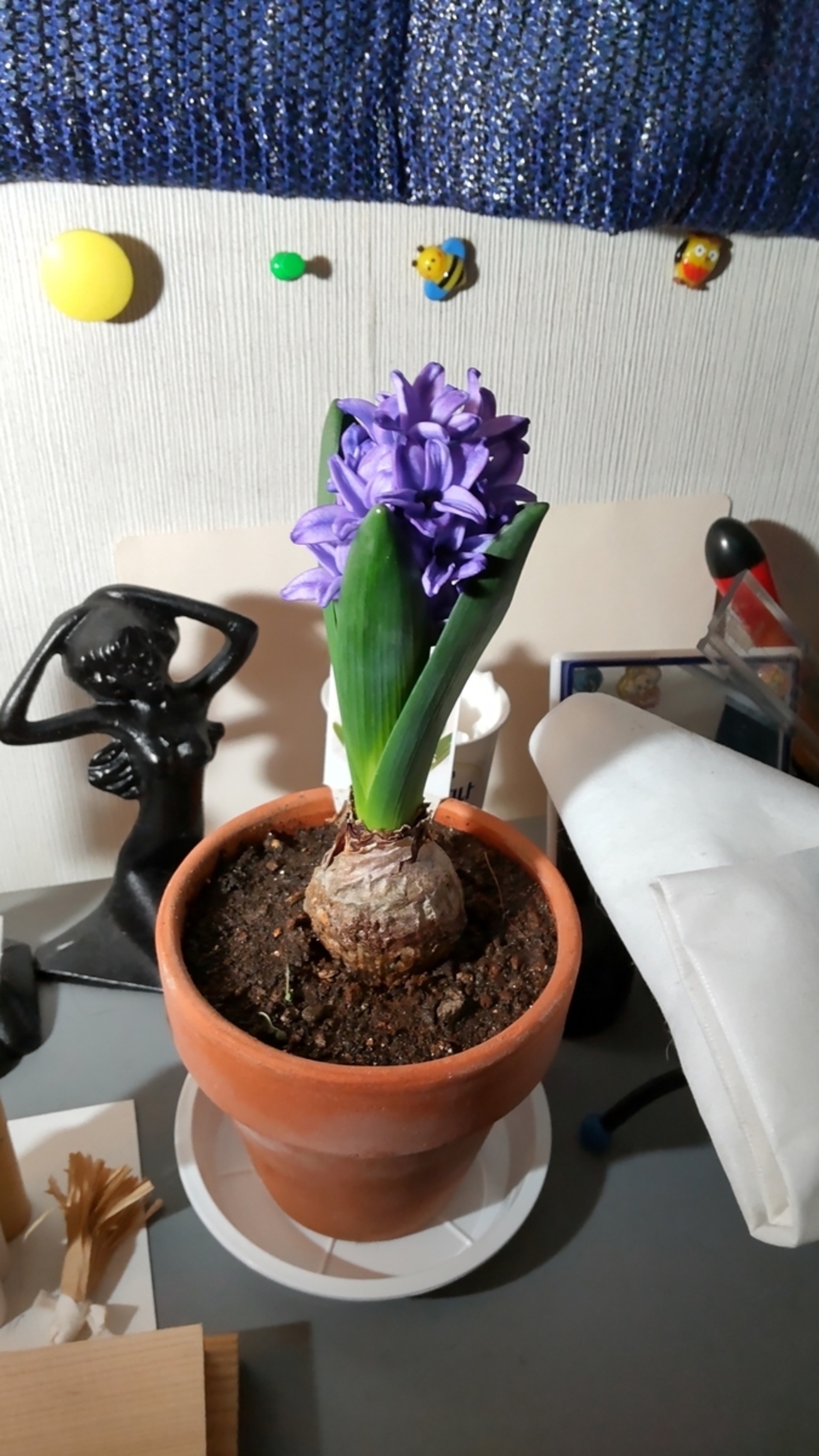 全然当たらない - yukai-jijiの日記