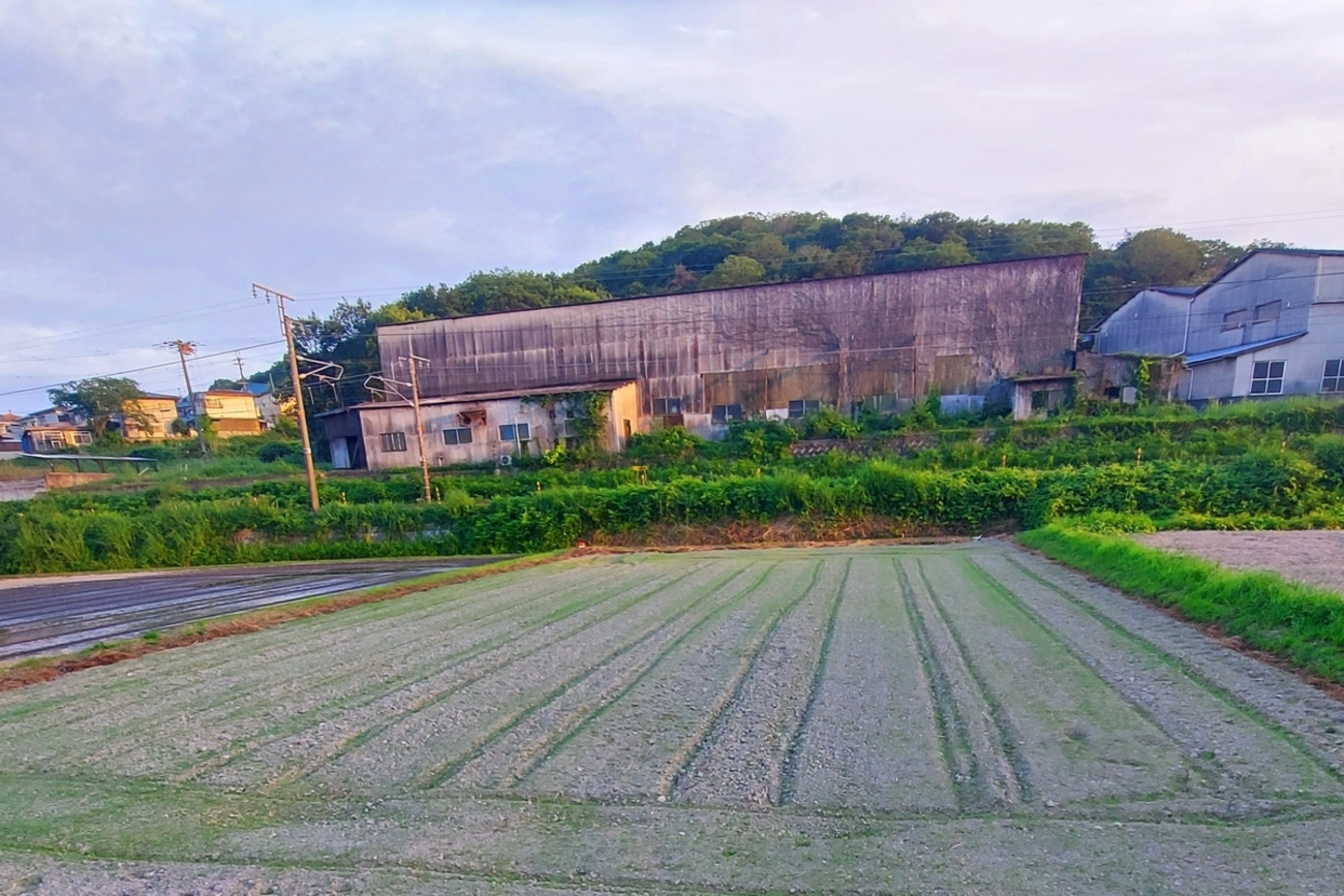 田んぼの風景 - sakoのフォトブログ