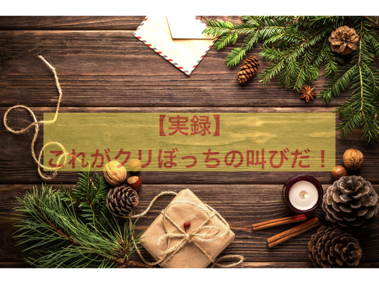 【2018年版】クリスマスにひとりぼっちの大学生に物申す。クリぼっちの叫び。 - メタひろぶろぐ