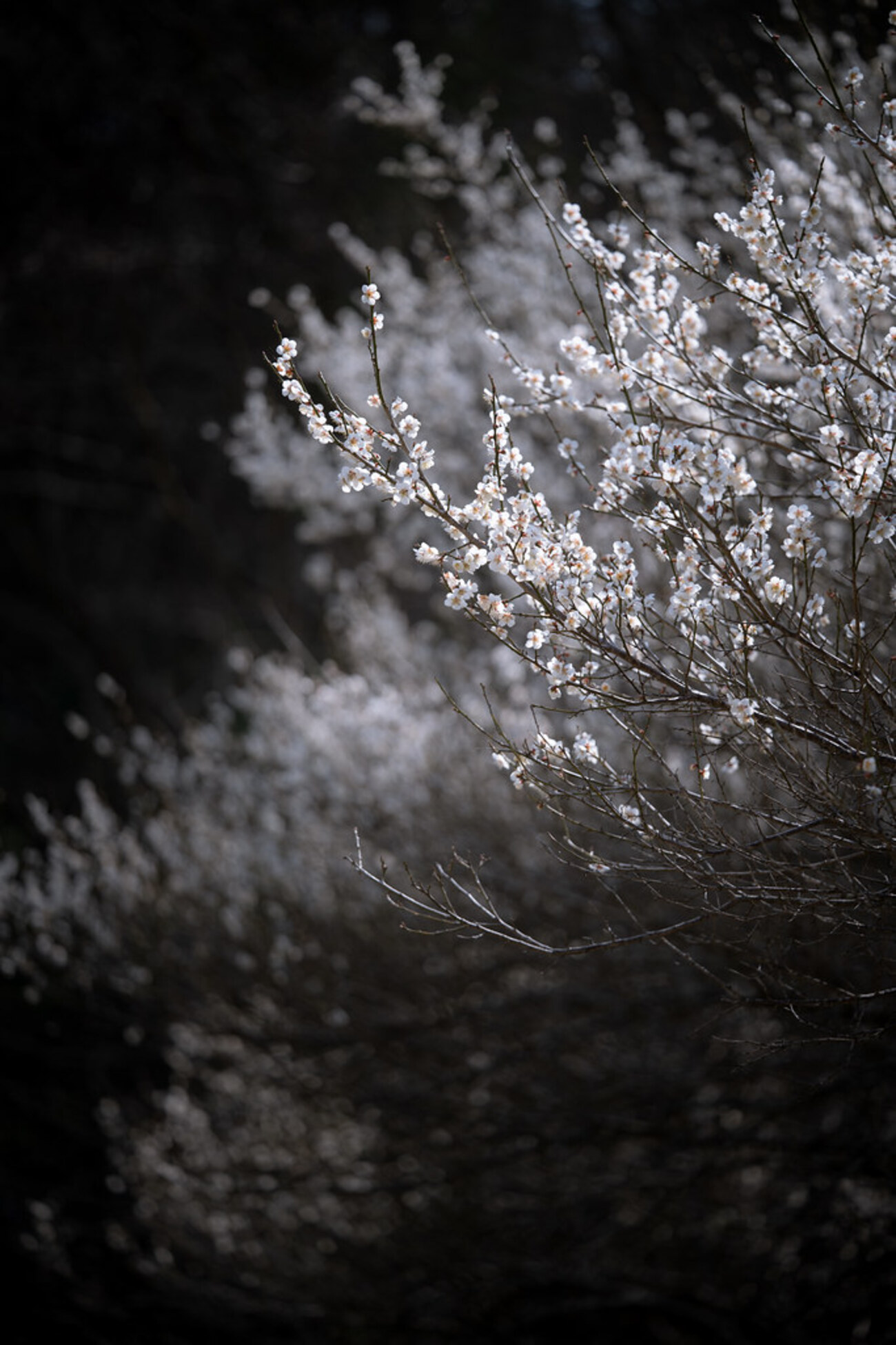 Nature snap #51 - An Ordinary Moment