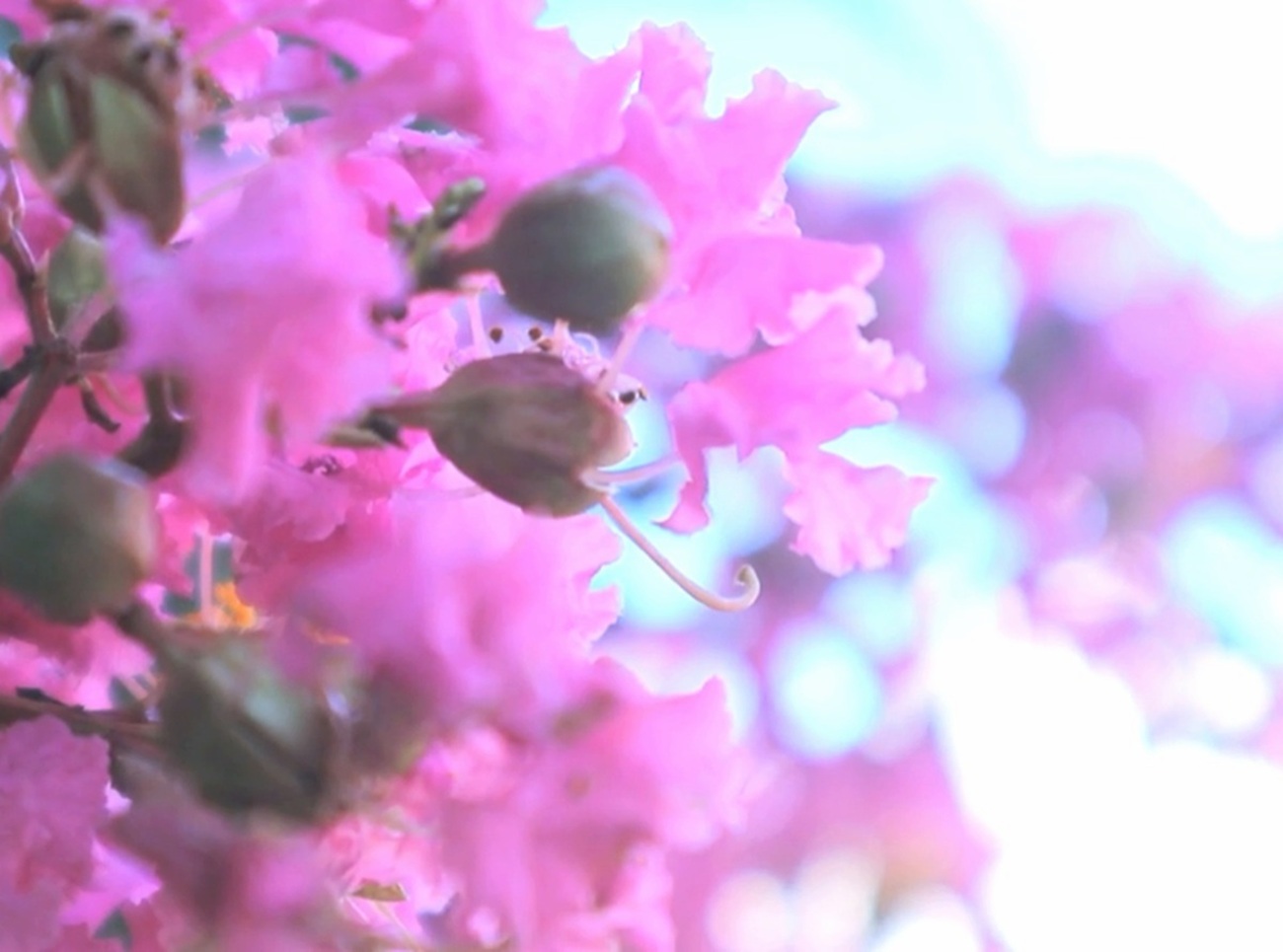 .eternity. - beauty and harmony Ⅱ