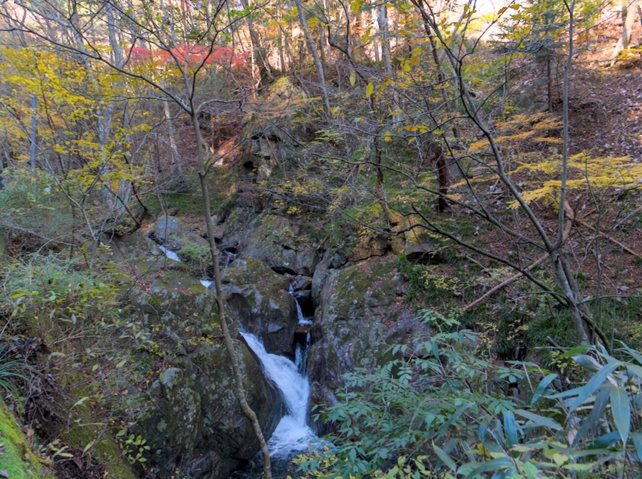 花園渓谷の紅葉～つくば市とその周辺の風景写真案内（1206） - computer_philosopher’s diary