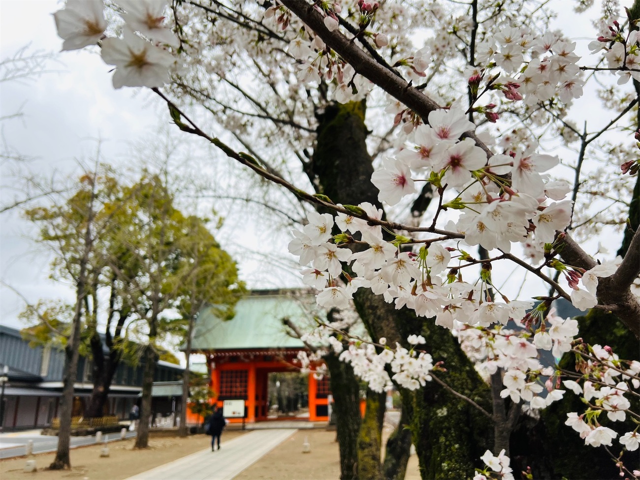 【ヒューマンデザイン】途中で止めてもかまわないし、心変わりもOK - NO PLAN NOTE