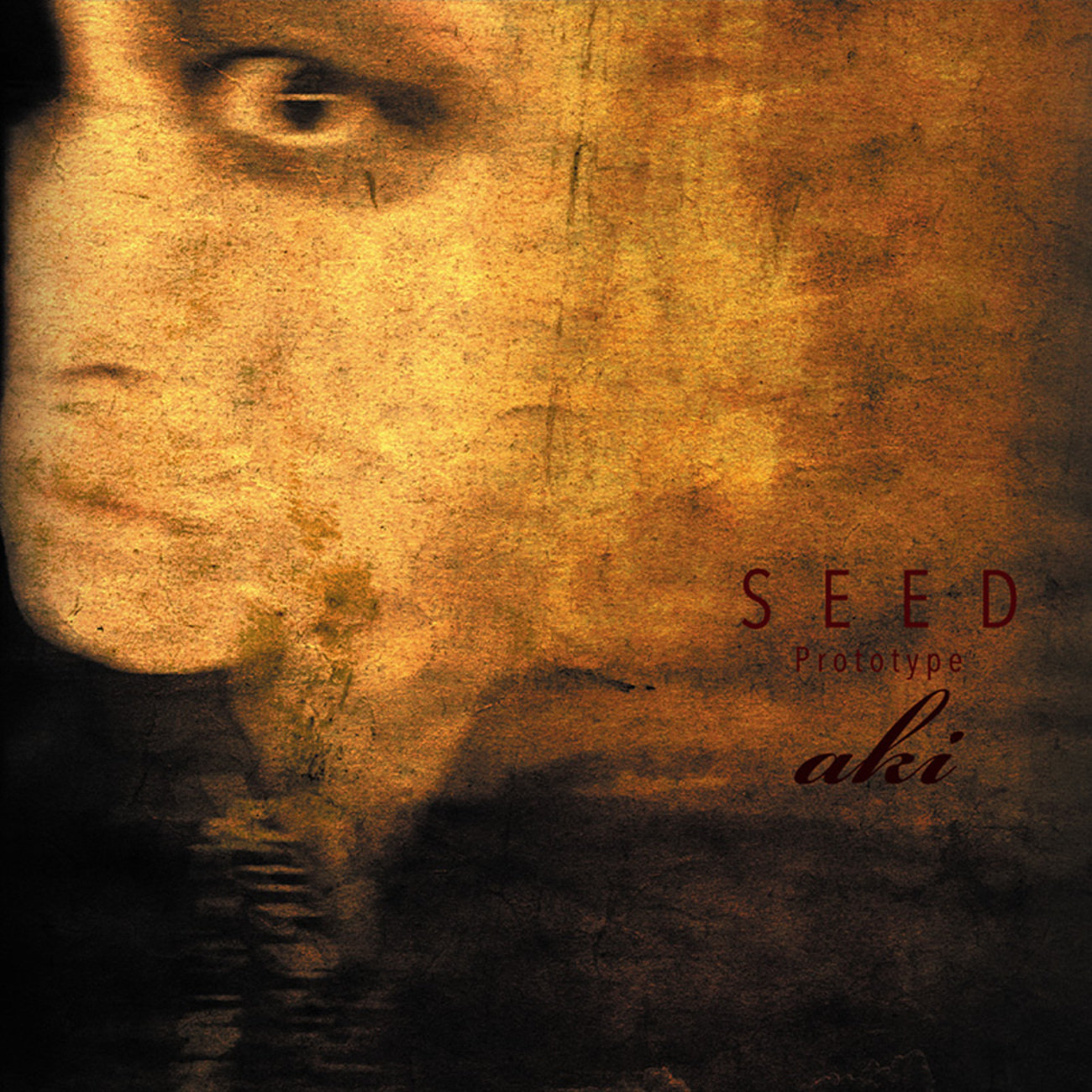 SEED Prototype - Night and Day