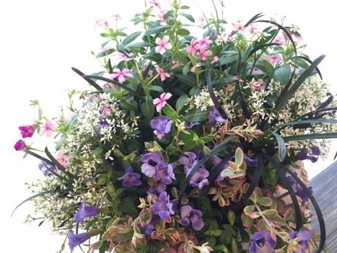 予約制です - 花屋ふた葉 hanaya-futaba’s blog