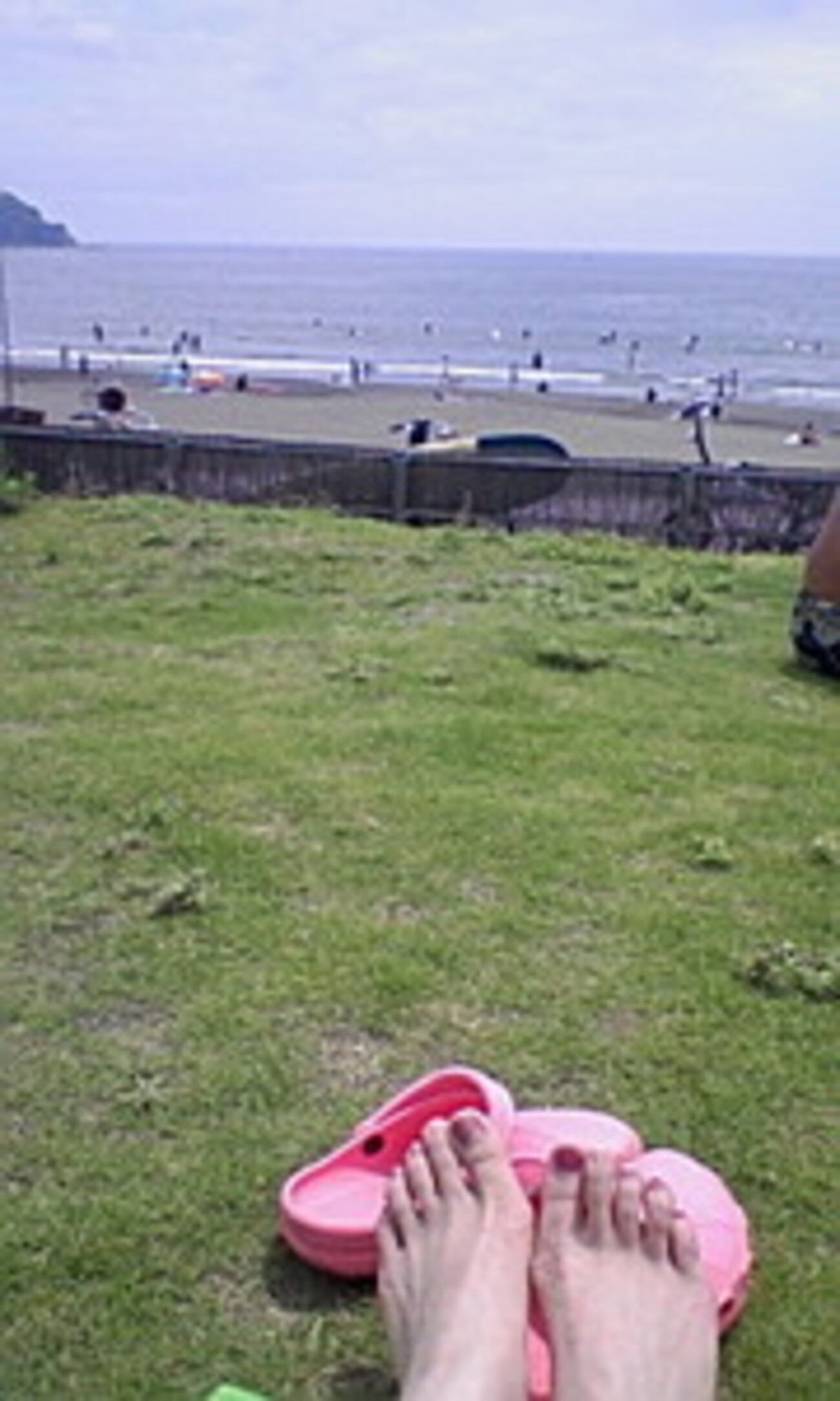 夏至。 - CITROBAL MARINA