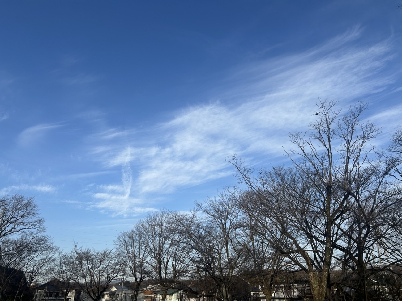 Photo No.2222 / 本文はおやすみいたします - アラカンいろいろありすぎ