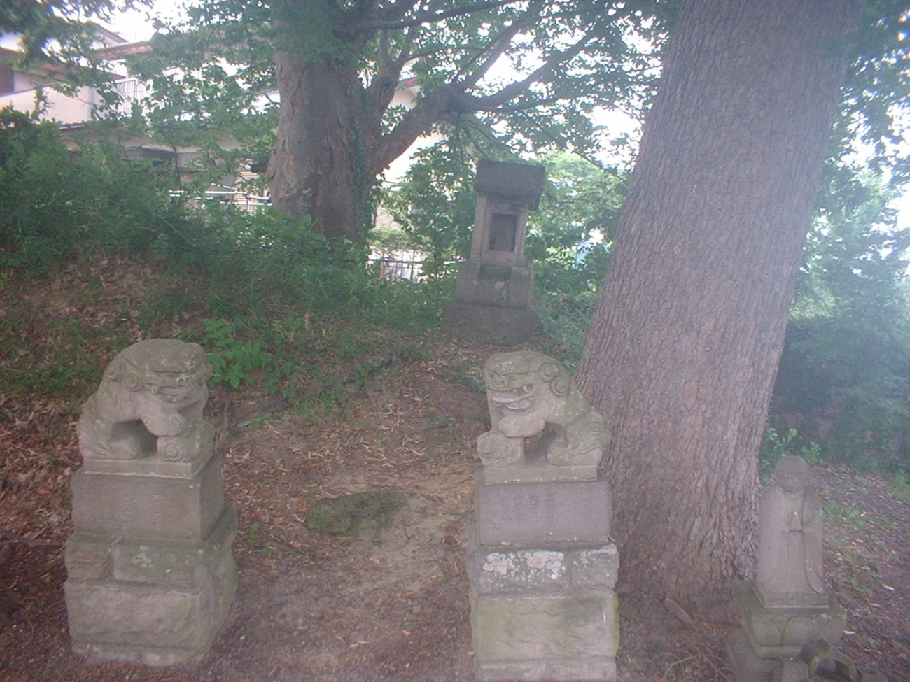 - oton_yukioyahoocojp’s blog