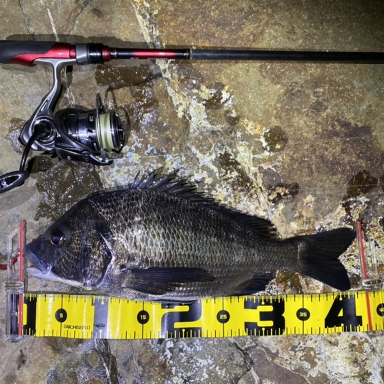 ダイワとシマノの性能対決 - YU-KINの、大自然に感謝っ！