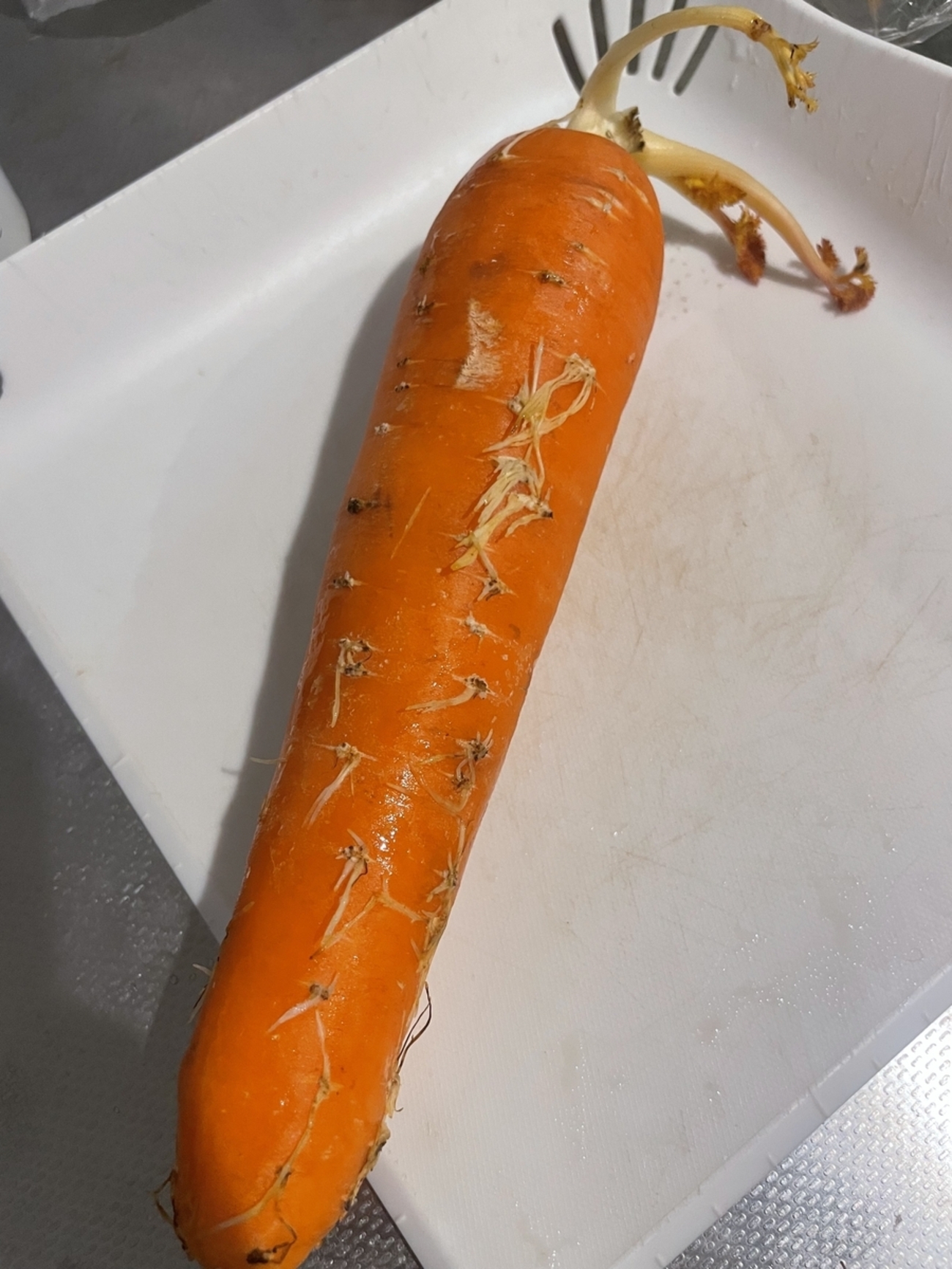 芽が出たニンジンを美味しく調理してみた - pirokoの体験談日記