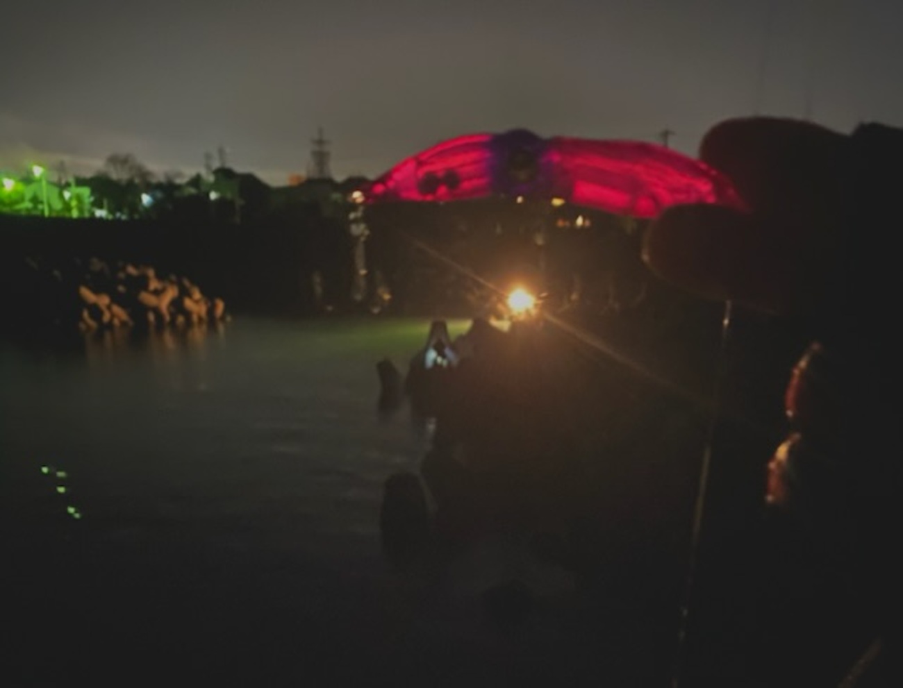 富山県西部のビッグデータ収集！新月ピンクが勝負を決める - YU-KINの、大自然に感謝っ！