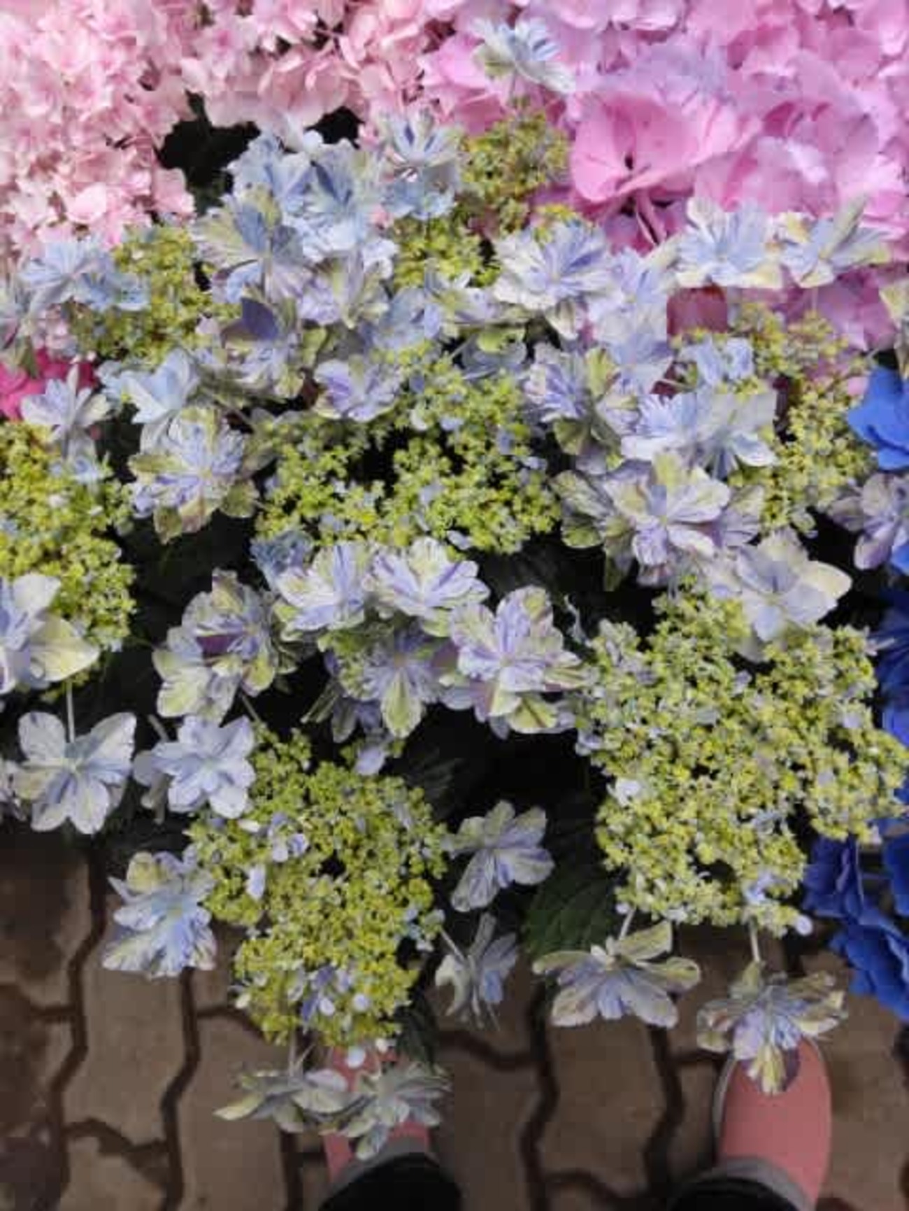 アジサイいっぱいでした - kyoko-ky211のブログ