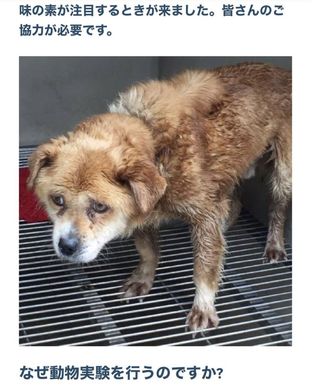 味の素は化学調味料ではなくて生化学調味料だそうです - tarobee8のブログ（戯言）