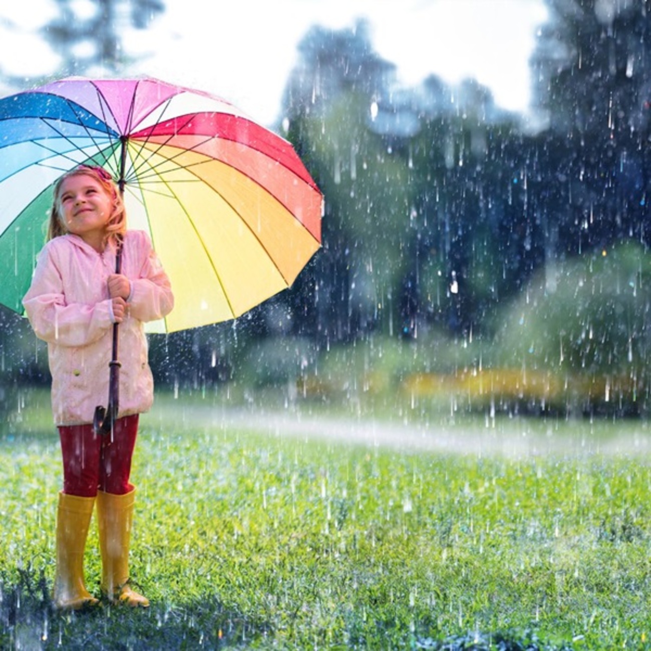 【めざましテレビ】レイングッズ～STTA(スッタ) シート、傘ケース～ - 華麗なる加齢ライフ