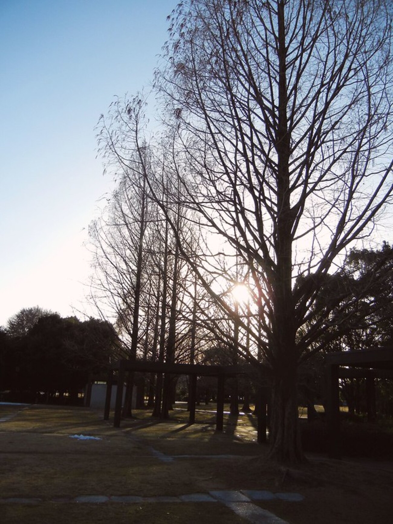 市民公園にて - Camera Obscura