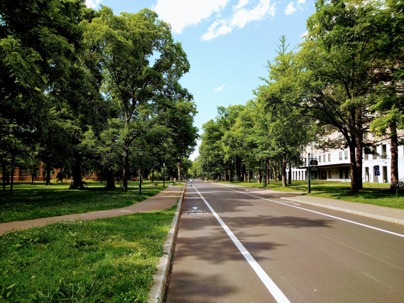 合格発表 - 緑風渚の引き出し