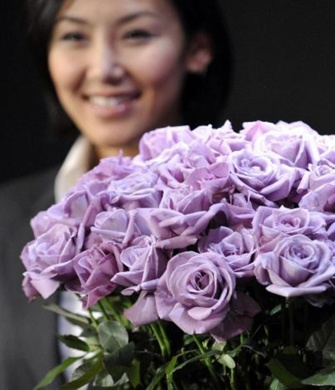 Blue Rose APPLAUSE / 世界初の「青いバラ」、11月に発売！ - 青春の輝き