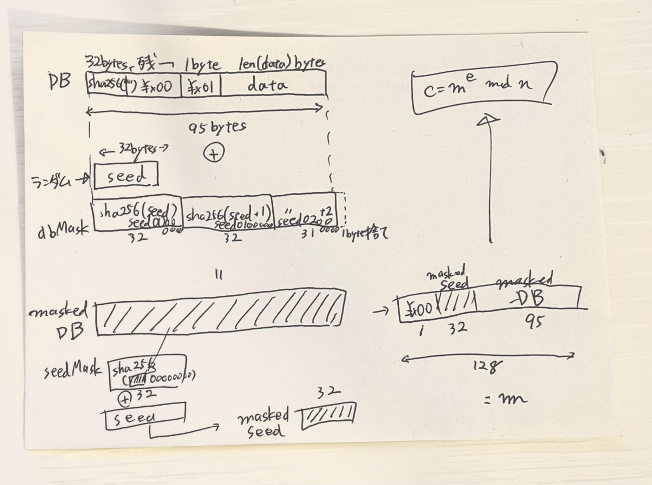 TSG CTF 2024 Writeups - はまやんはまやんはまやん