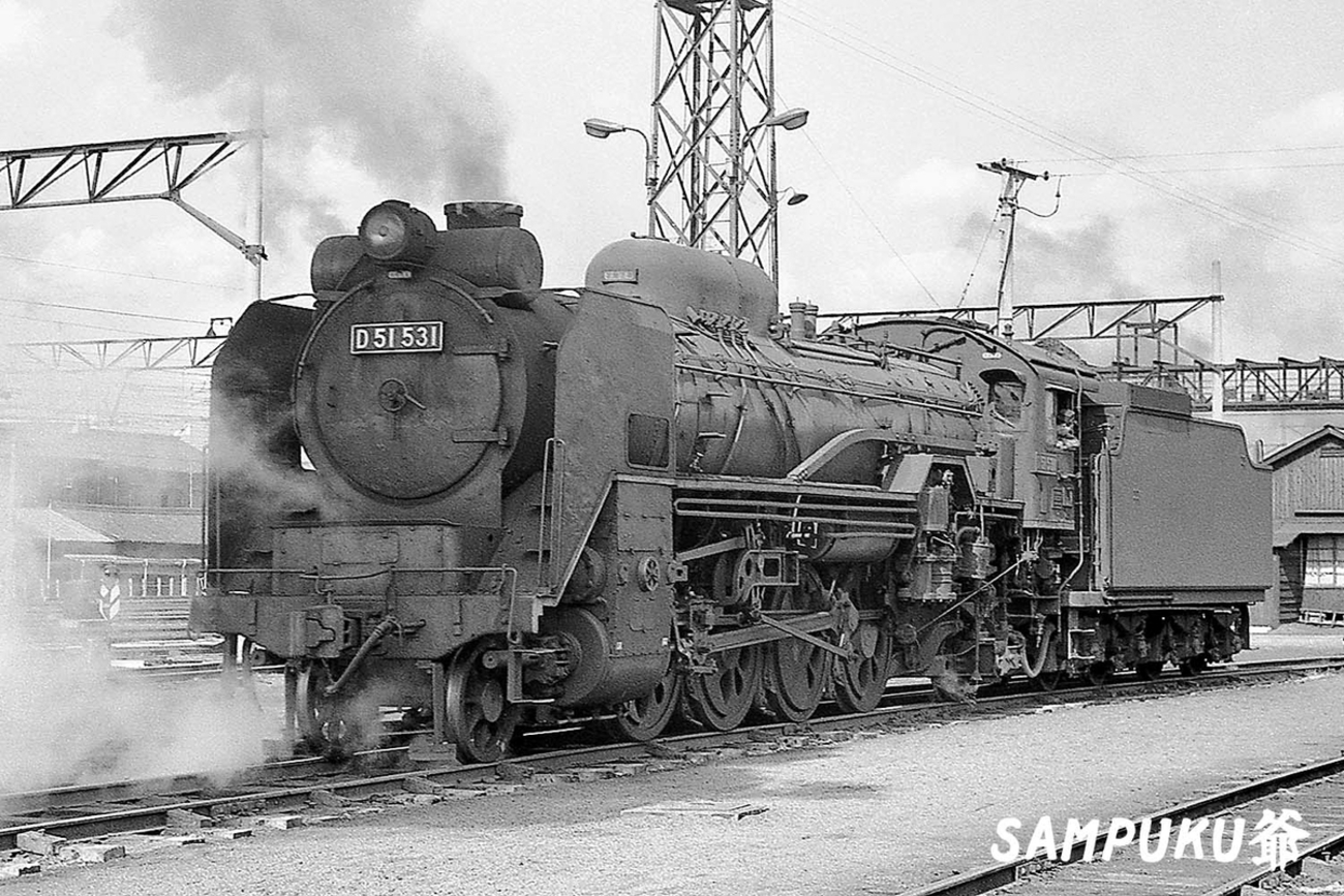 D51 531 - ただいま鉄道写真スキャン中