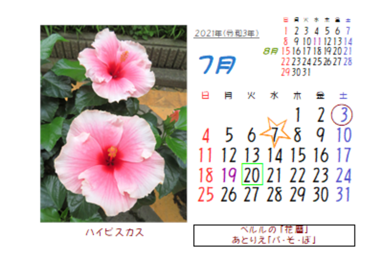 7月の花暦：2021 - Niwa niha Hana（庭には花）