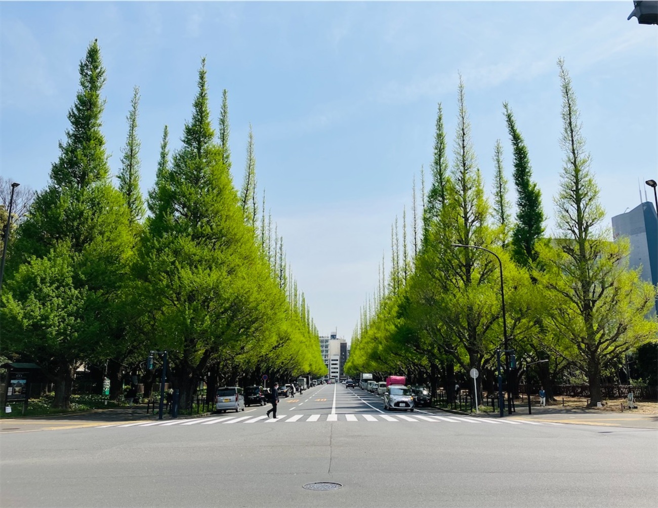 神宮外苑散歩 - shunkun's blog