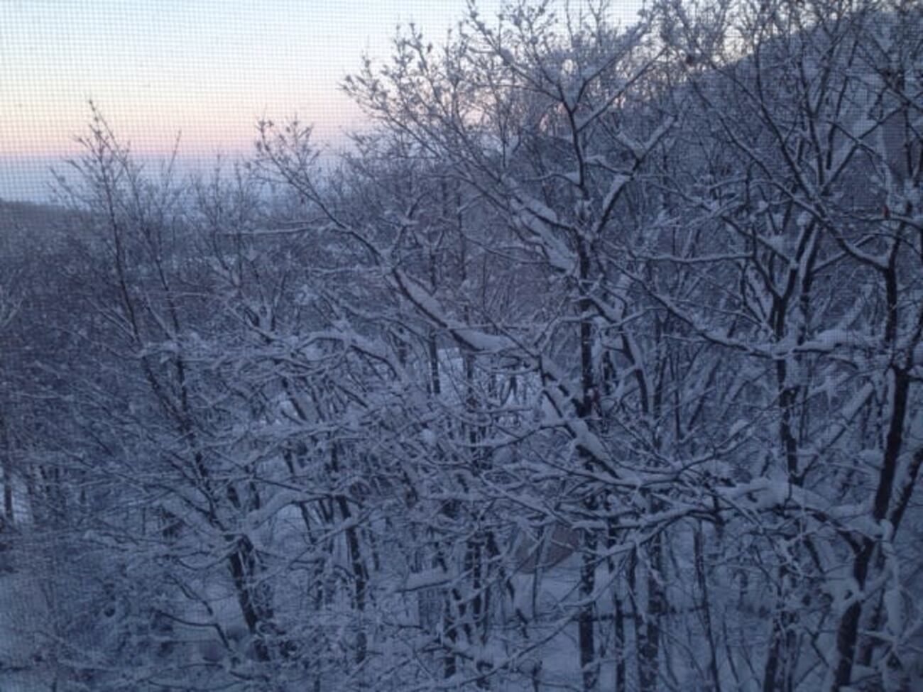 Zao today(12/27) - 小さなボクの小さな幸せ