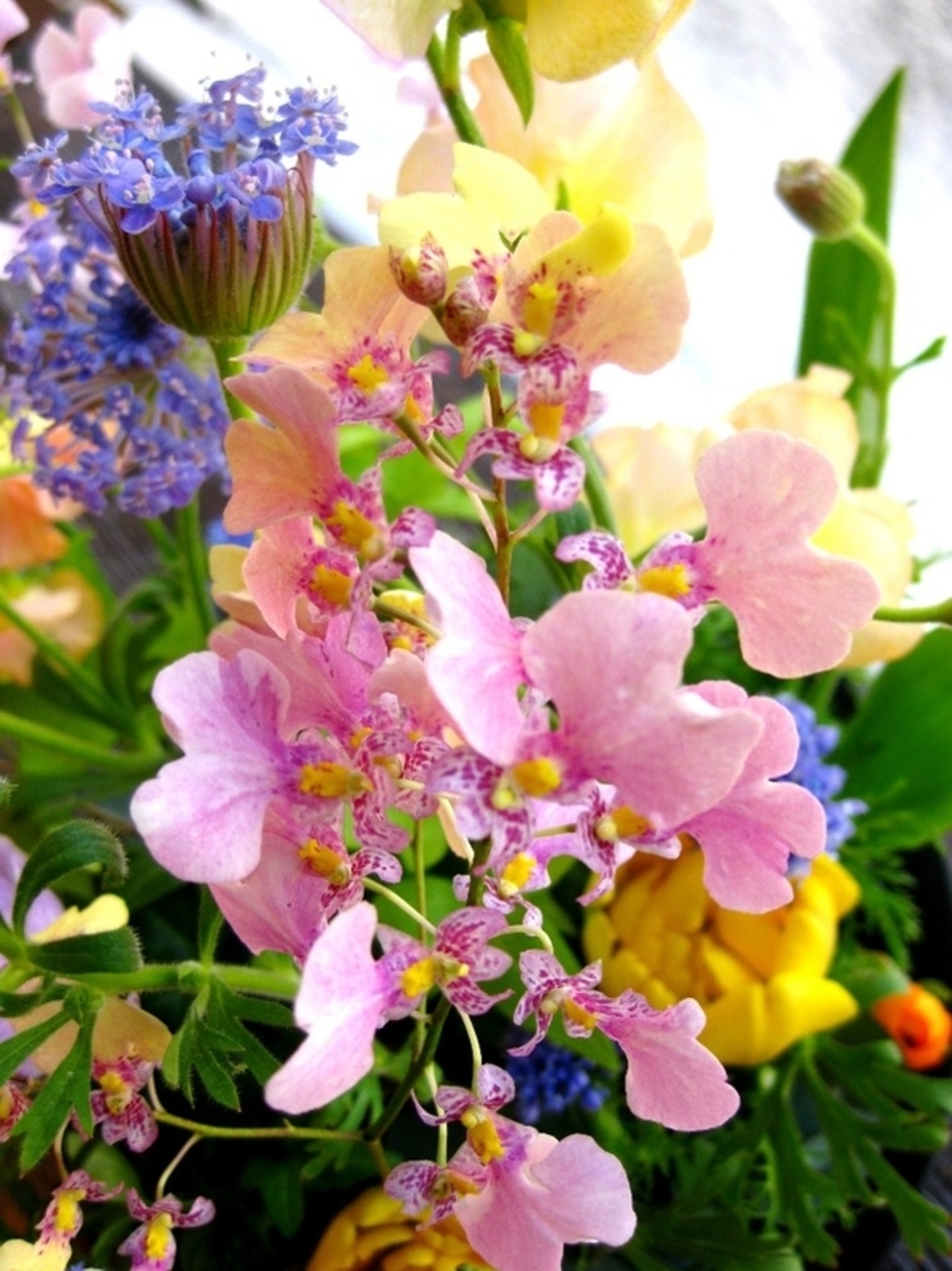 いつかの出来ごと - 花屋ふた葉 hanaya-futaba’s blog