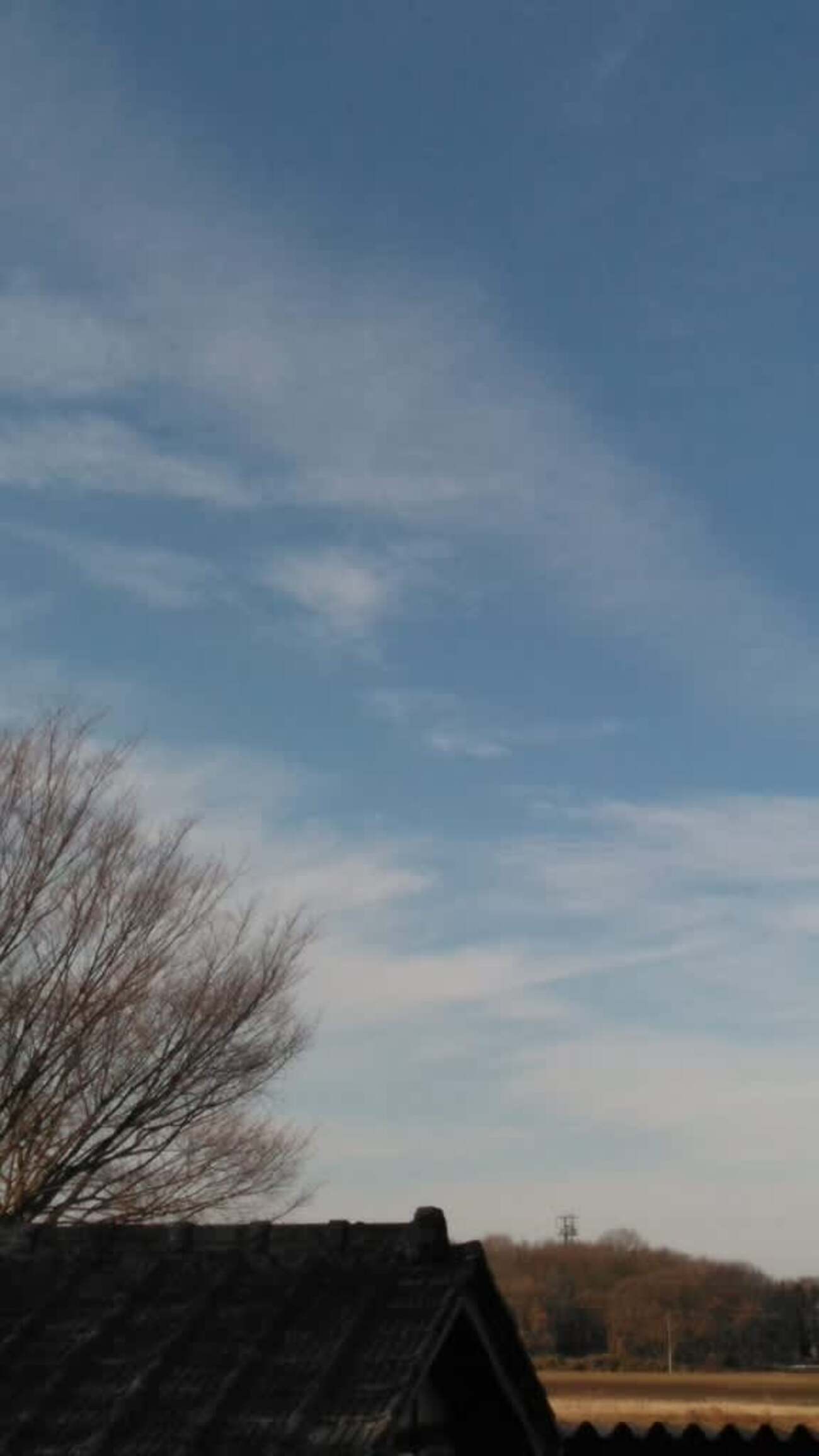 風強く、寒い((⛄)) - kyoko-ky211のブログ