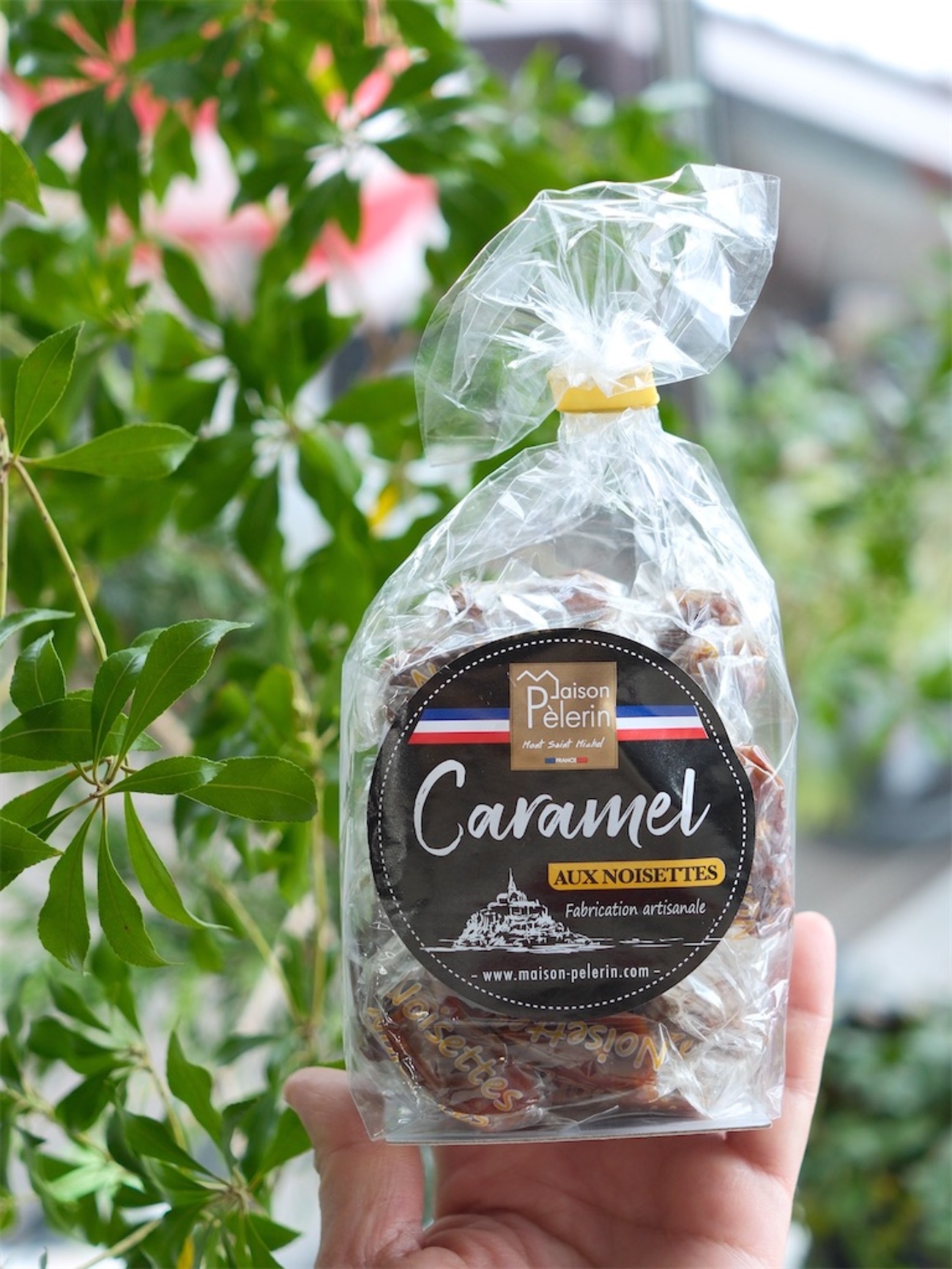 おフランスのお土産いただいた⭐︎ - カトミブログ／札幌⇆東京カメラマン/photographer KATOMI