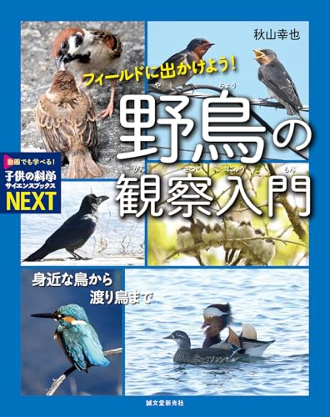 身近な鳥から渡り鳥まで、野鳥観察の入門書決定版 - mojiru【もじをもじる】