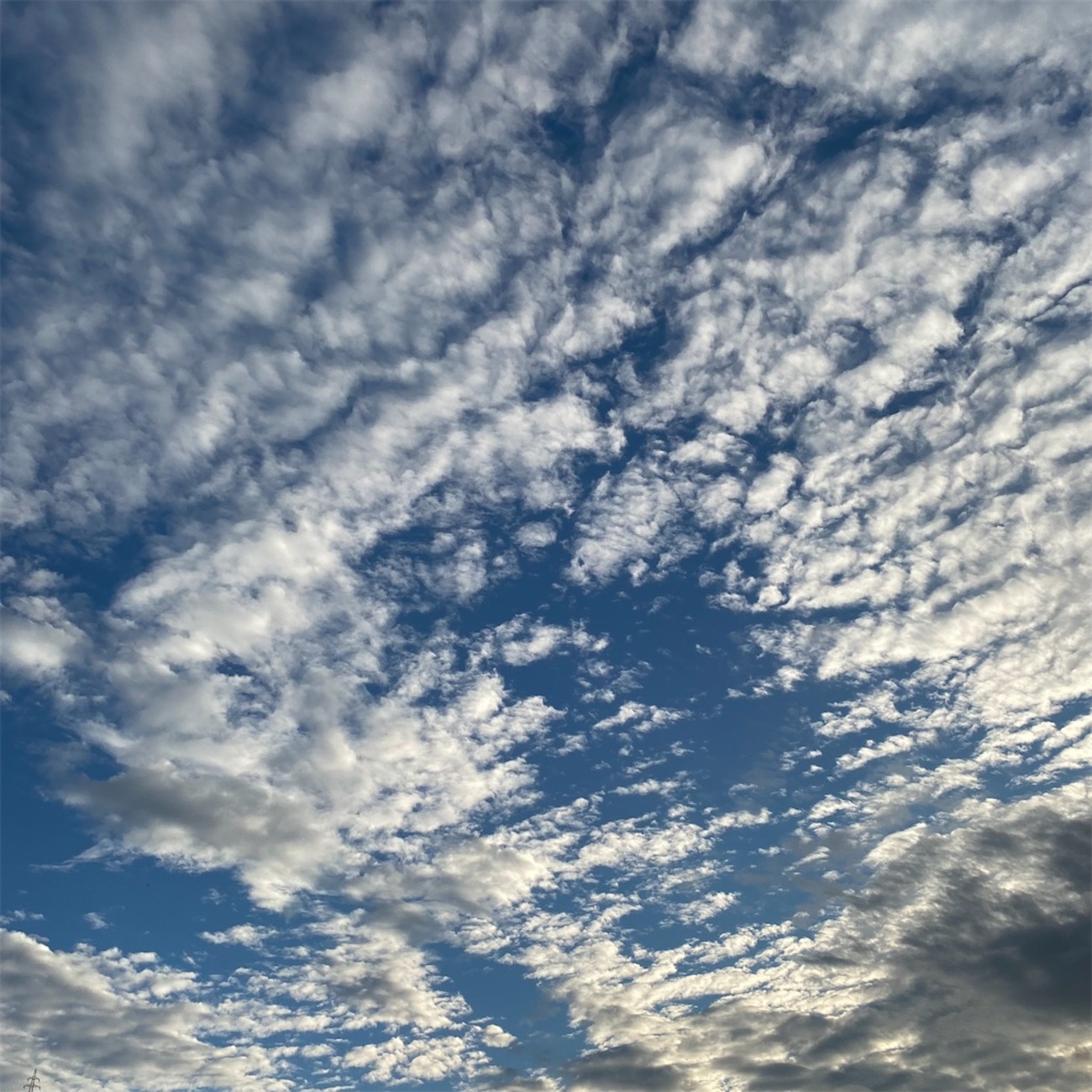 天使 - ringo_hana’s diary