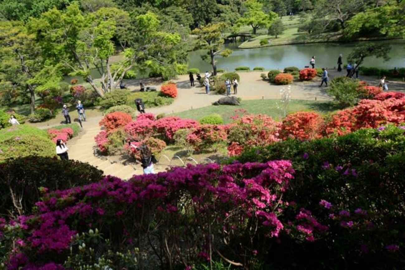 六義園のツツジ・・1 パート2 - 北の大地そして東京