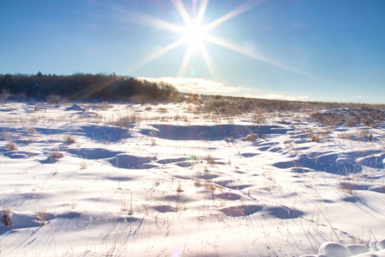 新しいJ-REIT ETF J-REITとは - てるてる氷解ブログ