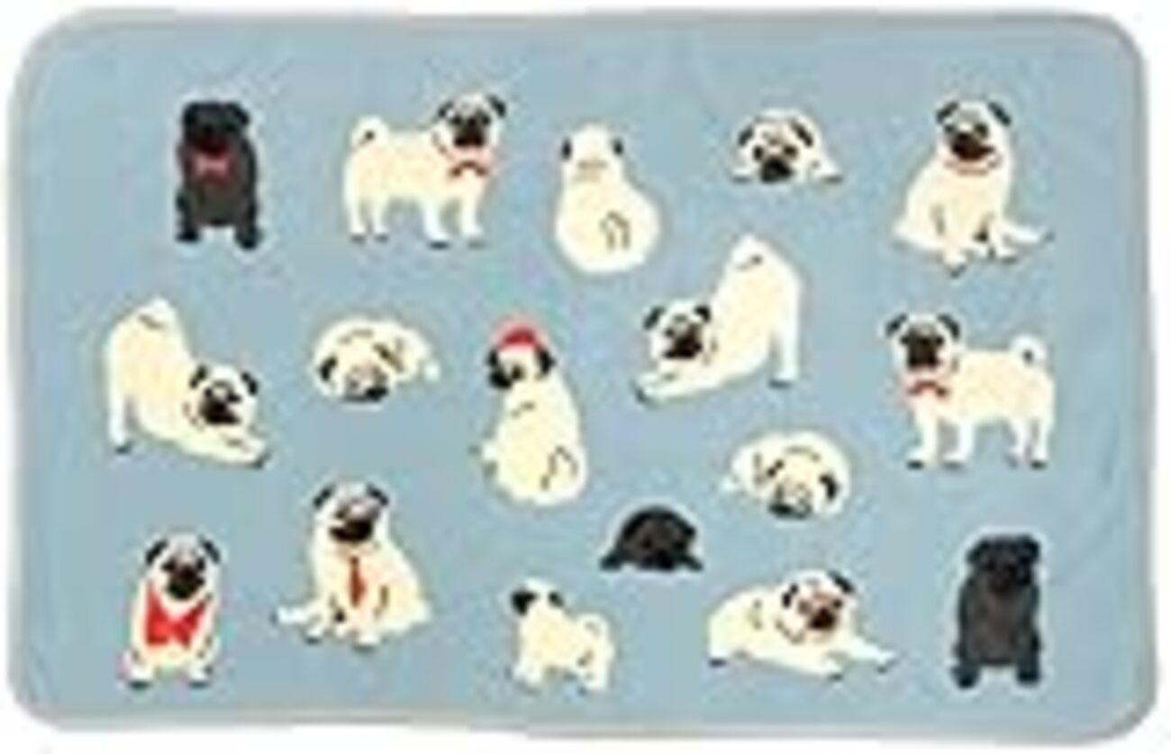 Pug 変数を返すMixinをつくりたい。 - かもメモ