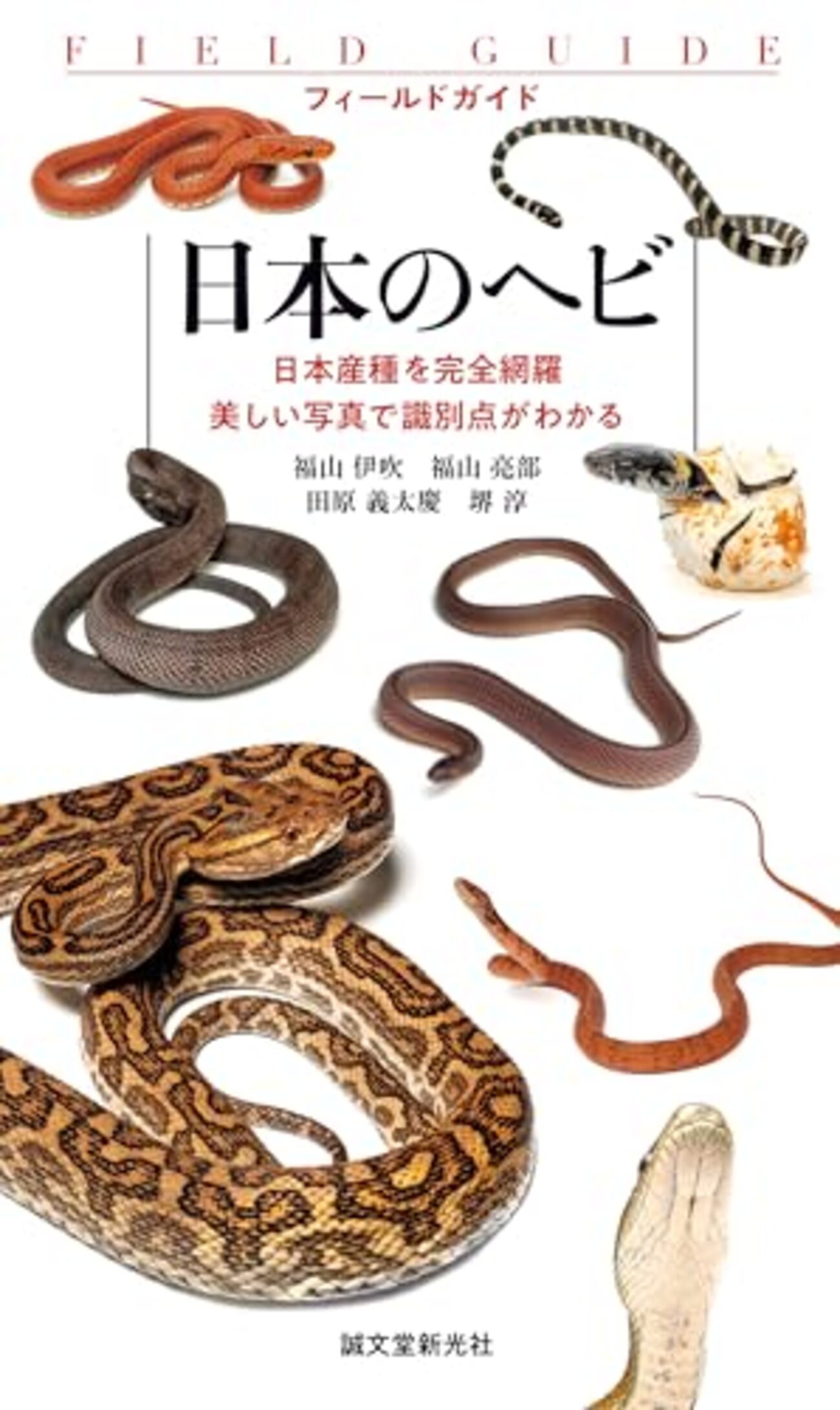 野外観察に必携のハンディ版ヘビ図鑑『日本のヘビ』 - mojiru【もじをもじる】